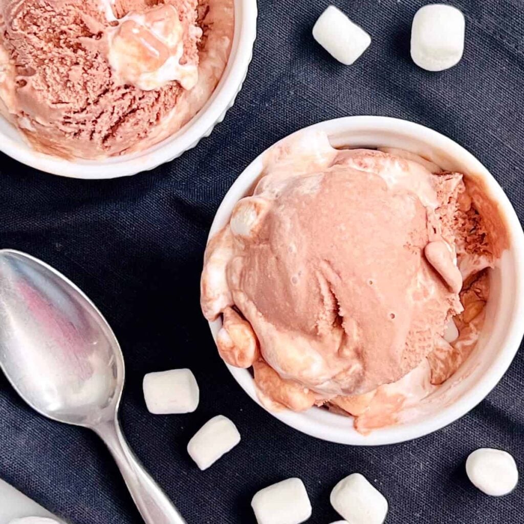 40+ Homemade Ice Cream Recipes: Electric Ice Cream Maker - Go Gluten Freely