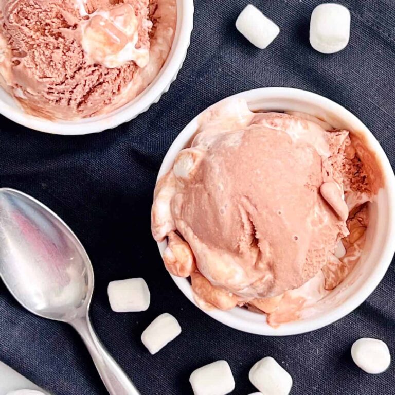 40+ Homemade Ice Cream Recipes: Electric Ice Cream Maker - Go Gluten Freely